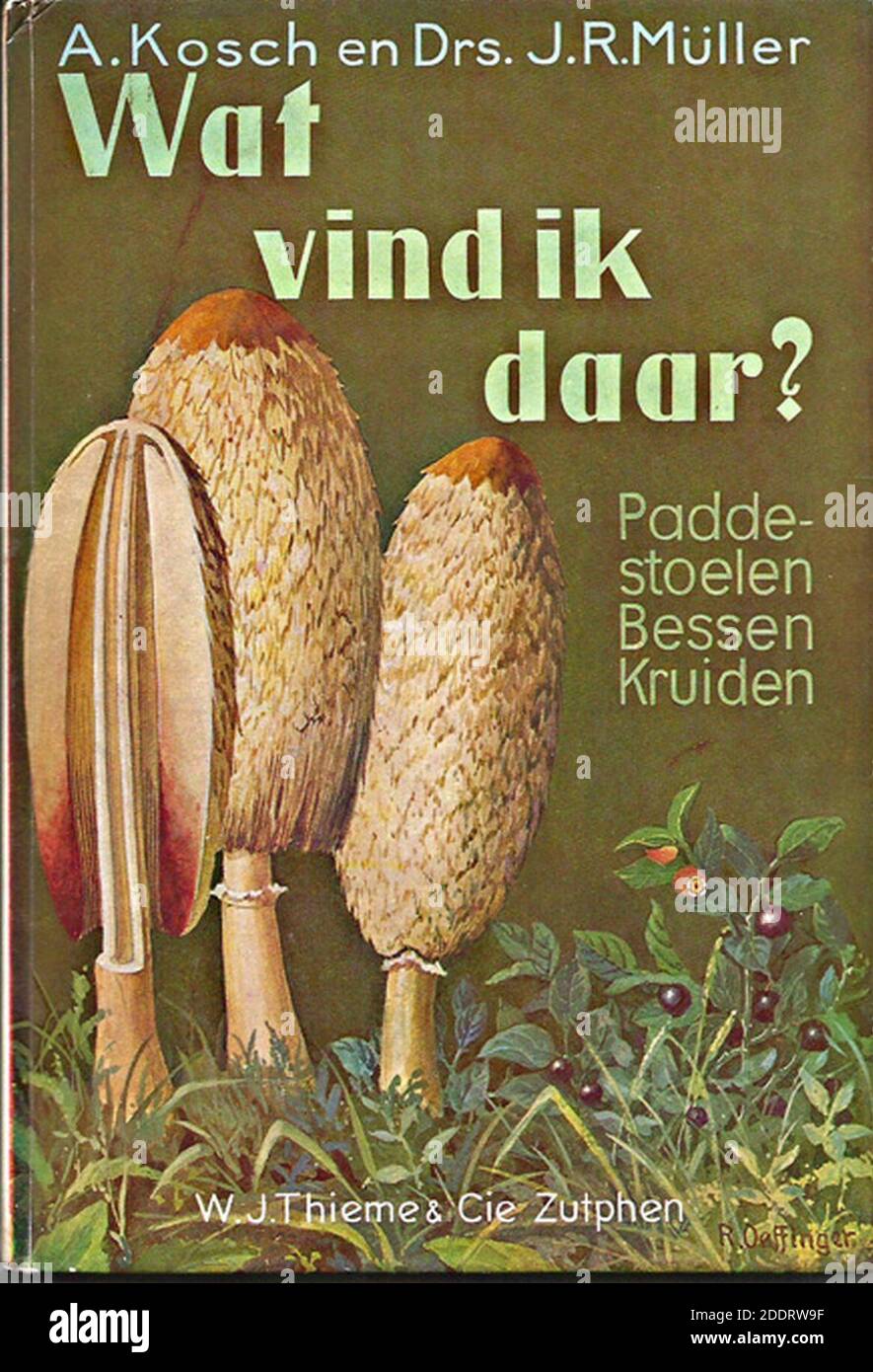 Kosch hi-res stock photography and images - Alamy