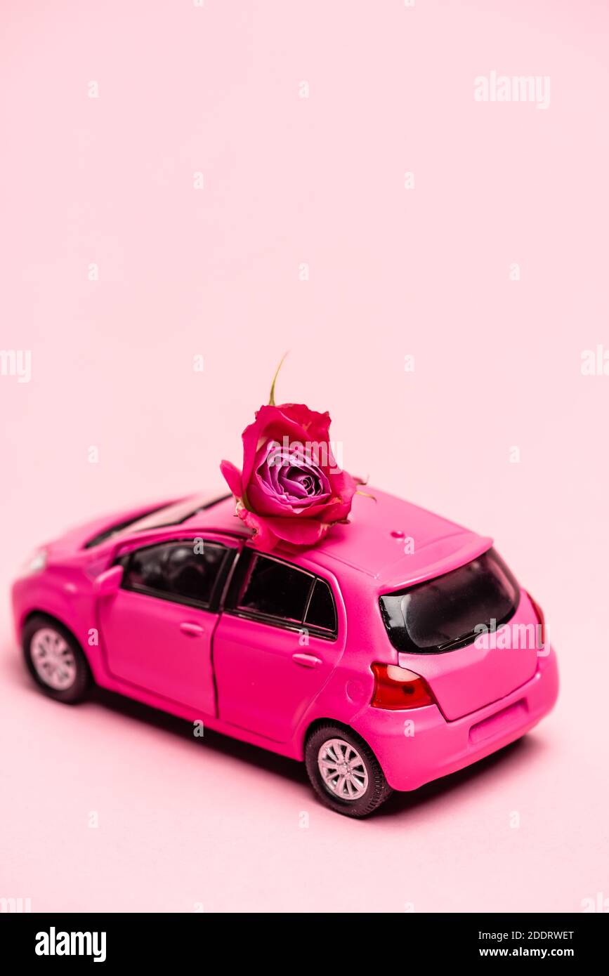 toy car and red rose on pink background Stock Photo - Alamy