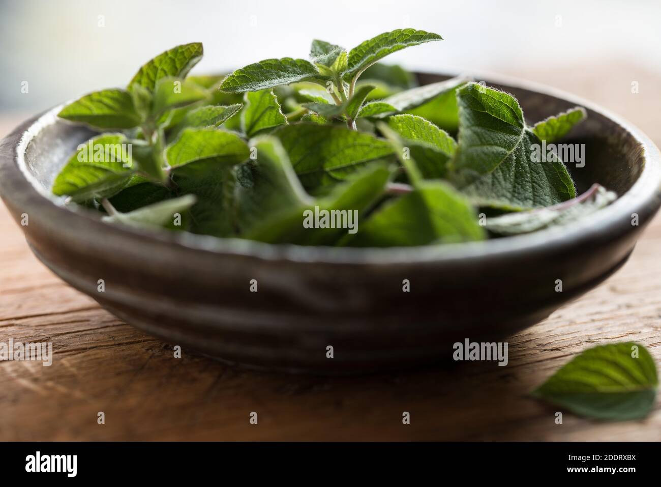 Fresh sage herb hi-res stock photography and images - Alamy