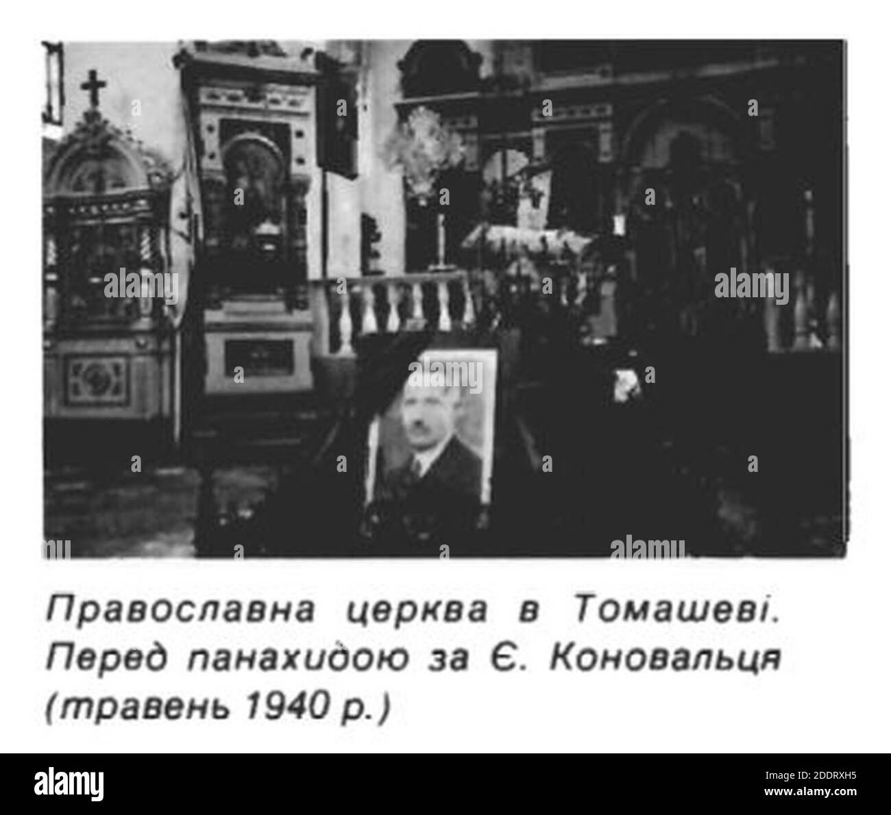 Konoval hi-res stock photography and images - Alamy