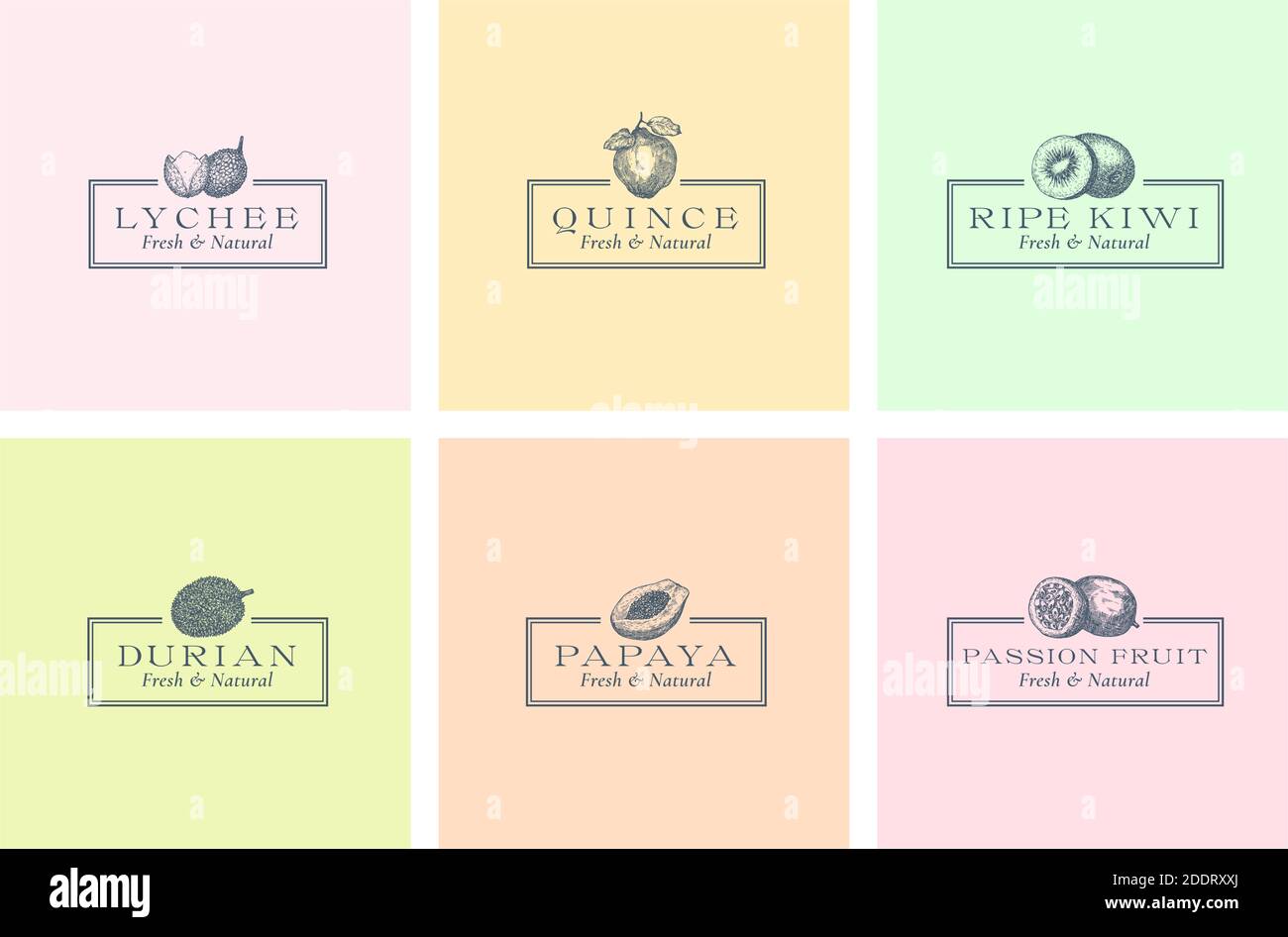 Exotic Fruits Abstract Vector Signs, Symbols or Logo Templates ...