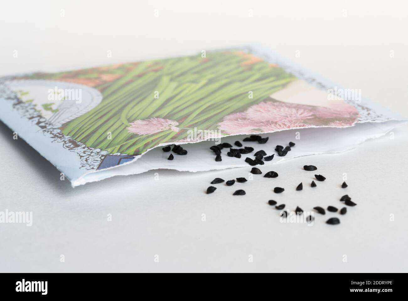 Seed packet isolated hi-res stock photography and images - Alamy