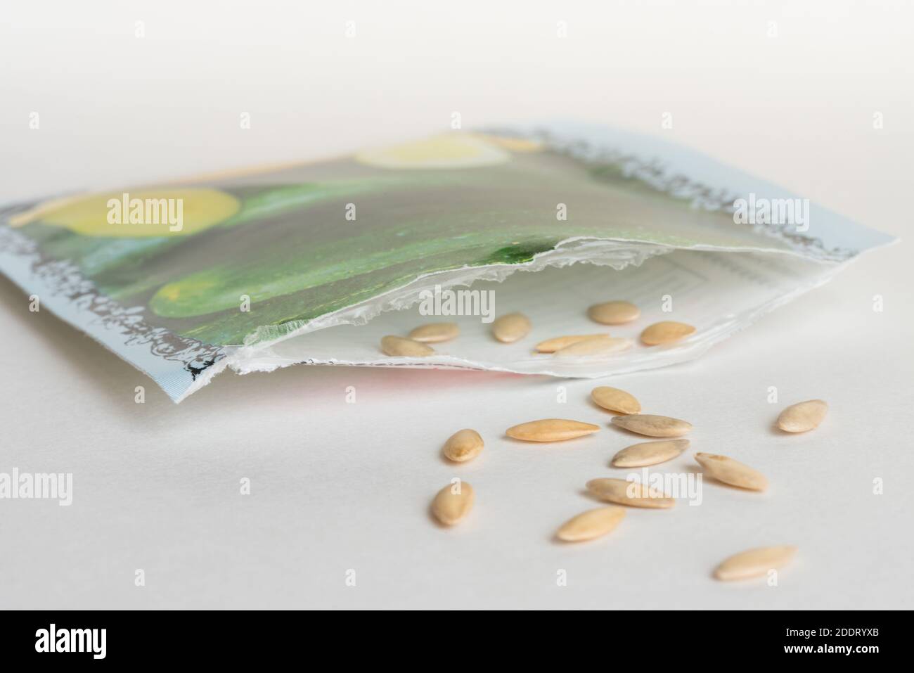Cucumber Seeds Spilled from a Seed Packet Stock Photo - Alamy