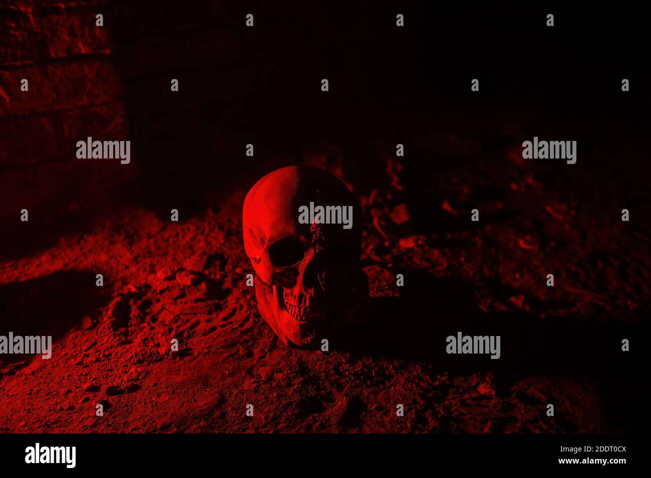 Creepy skull Illuminated by red light light Stock Photo - Alamy