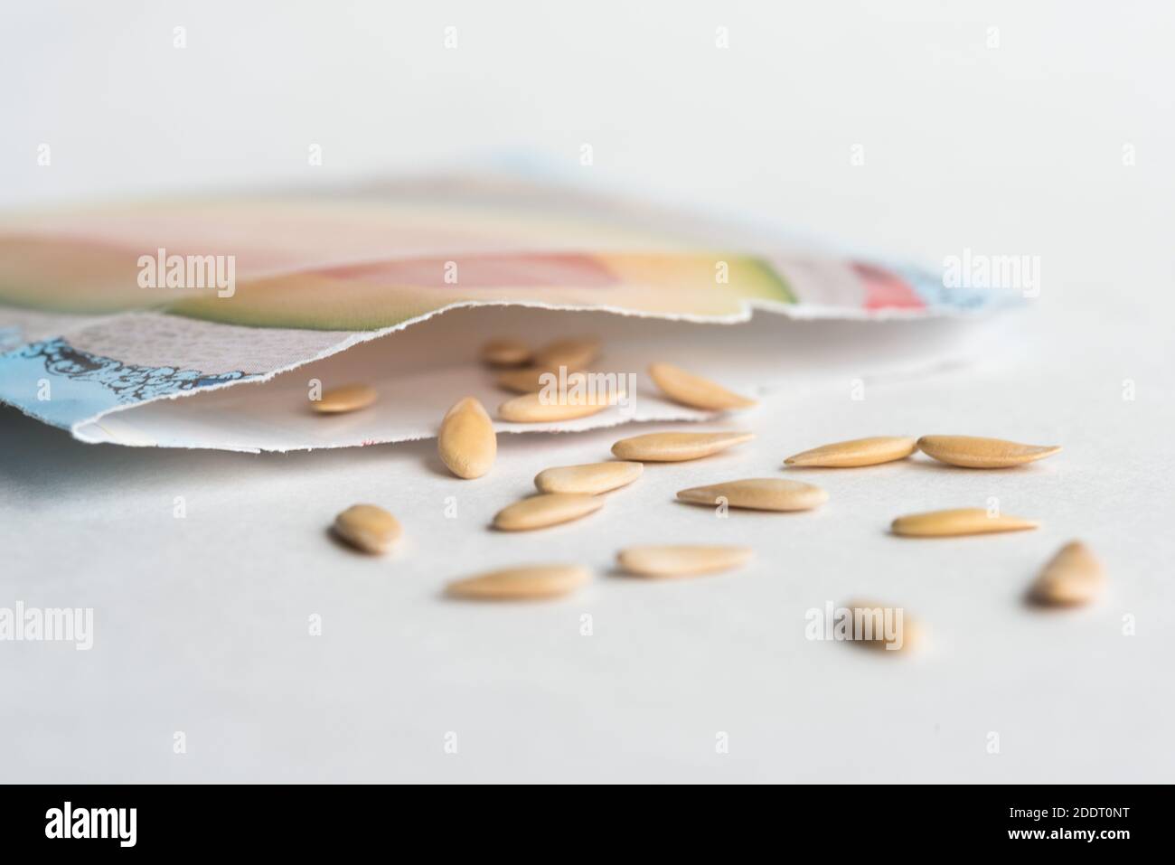 Melon Seeds Spilled from a Seed Packet Stock Photo - Alamy