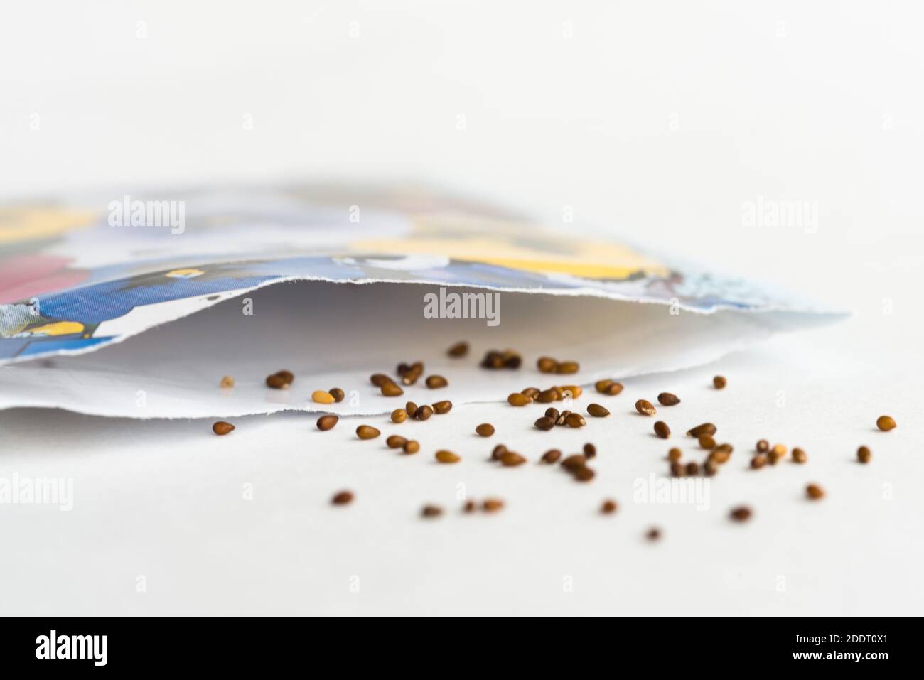 Envelope flower seeds hi-res stock photography and images - Alamy