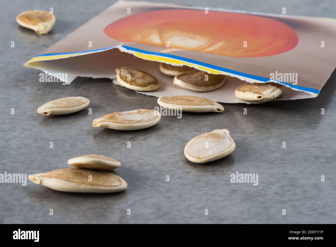 Pumpkin Seeds Spilled from a Seed Packet Stock Photo - Alamy