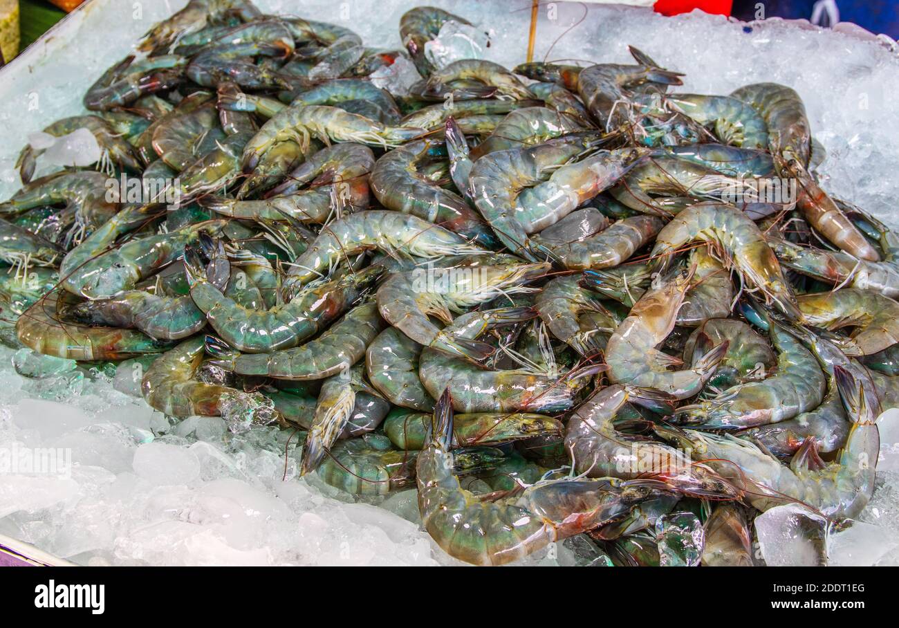 Thai seafood Naklua Thailand Asia Stock Photo - Alamy