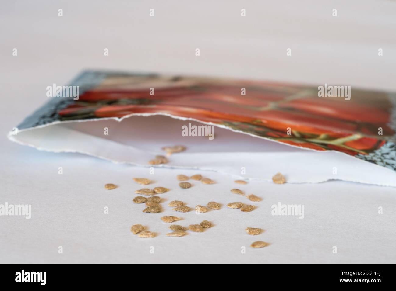 Tomato Seeds Spilled from a Seed Packet Stock Photo - Alamy