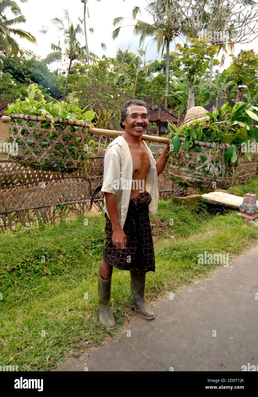 Harvest farmer in Bali, Indonesia Stock Photo - Alamy