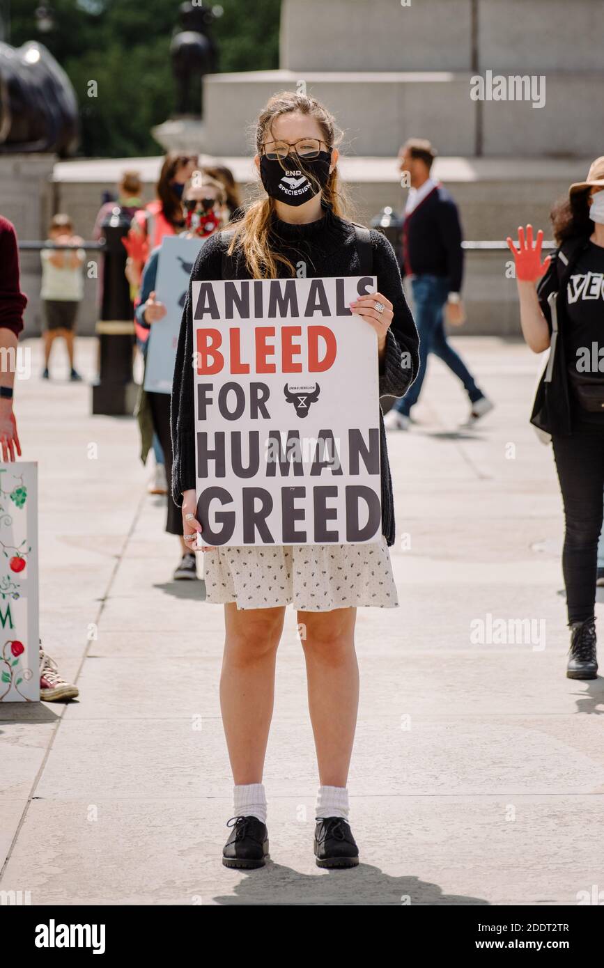 London, United Kingdom - July 11, 2020: Animal Rebellion action on the ...