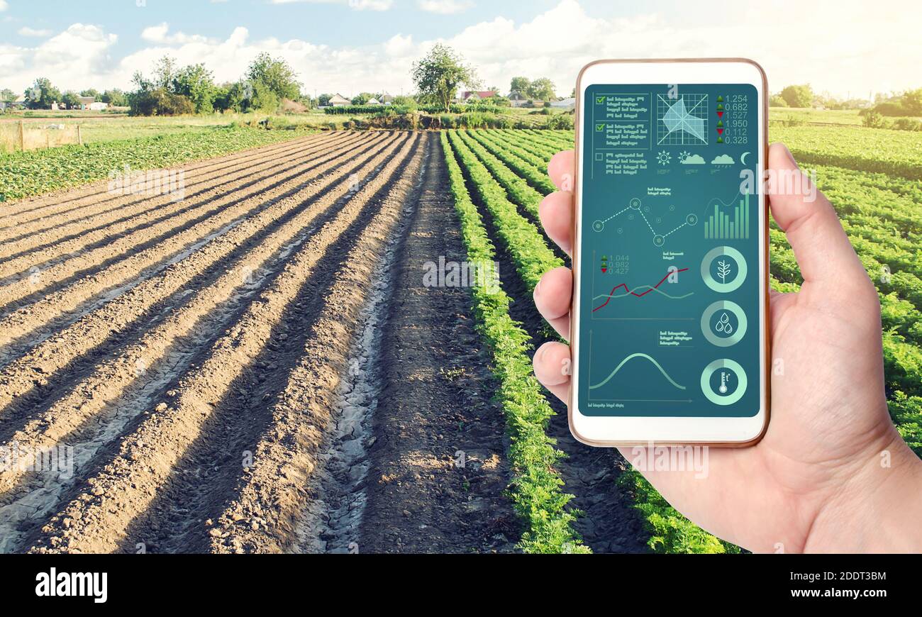 Phone with infographics on the background of a farm field plantation ...