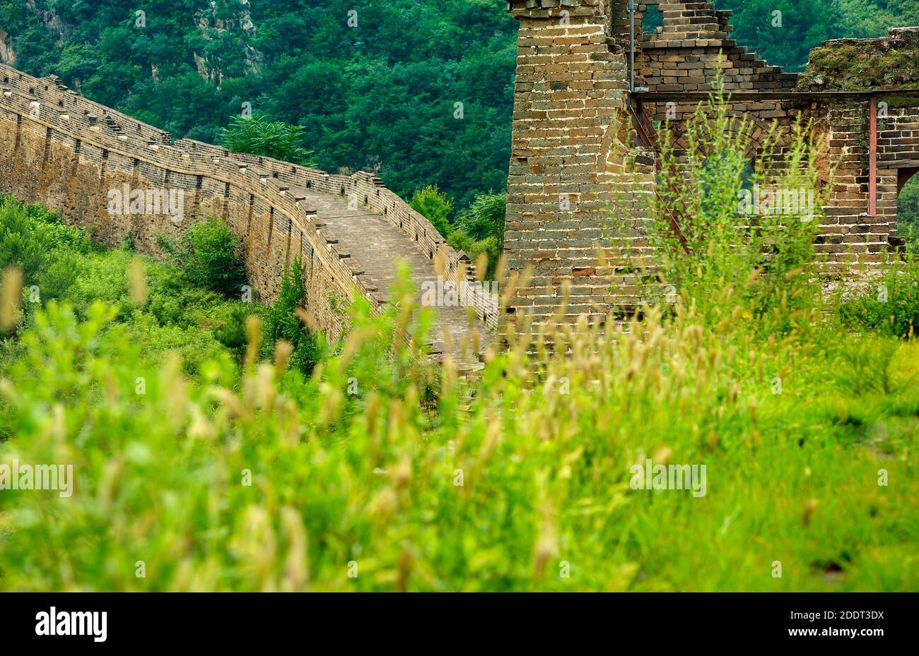 Well preserved remains of Great Wall of China fortification in the ...