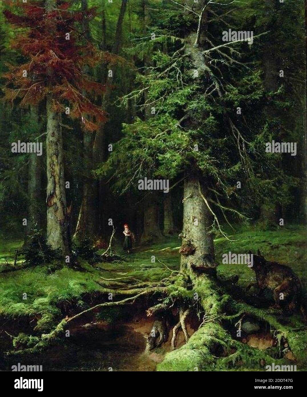 Klever yuliy krasnaya shapochka v lesu Stock Photo - Alamy