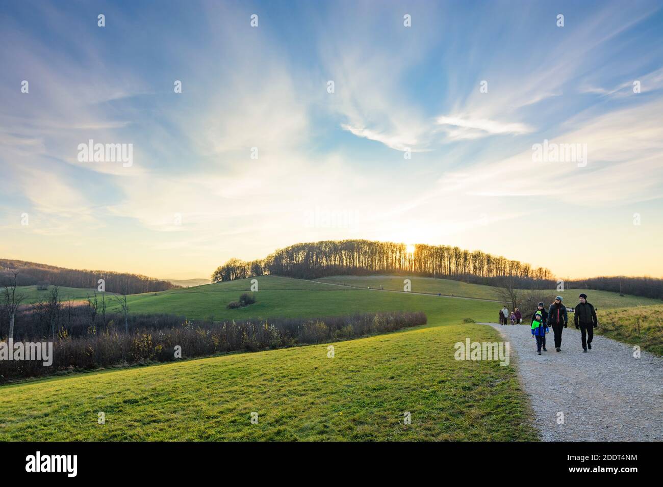 Wien, Vienna: alp Sophienalpe, view to viewpoint Franz-Karl-Fernsicht ...