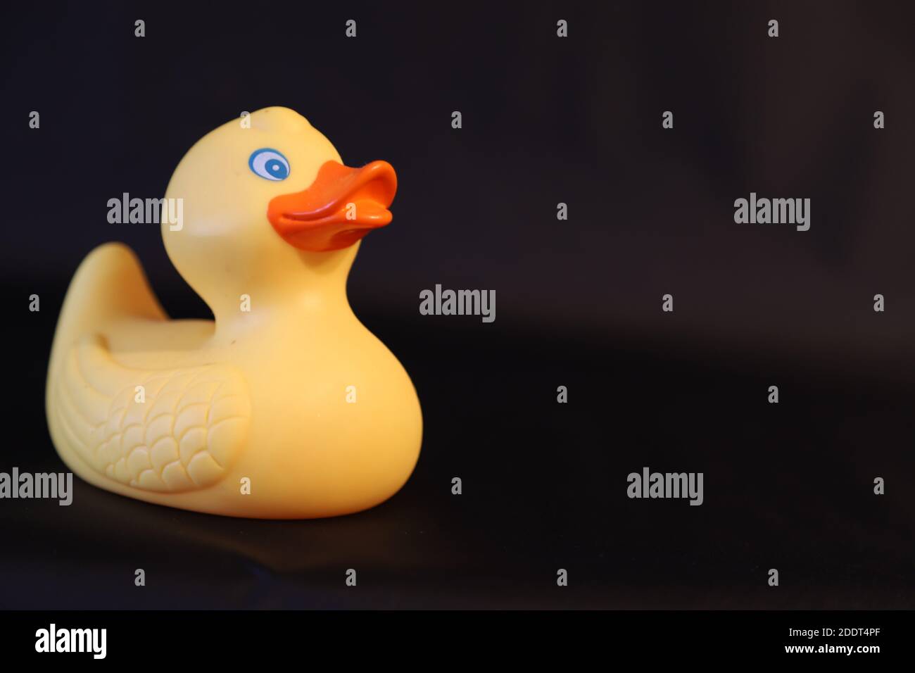 Rubber duckie hi-res stock photography and images - Alamy