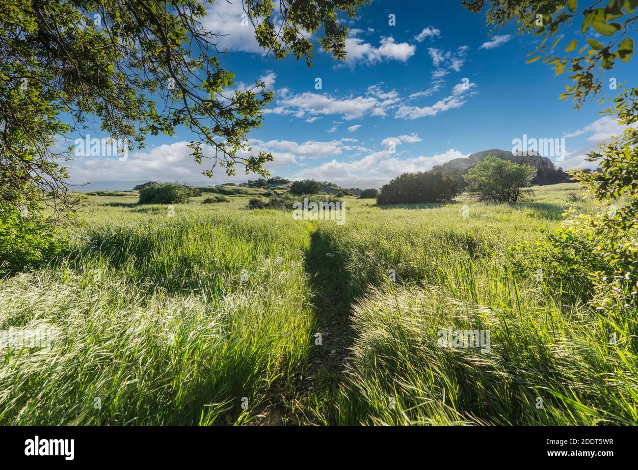 Santa Susana Pass Mountains spring meadow near Porter Ranch and the San ...