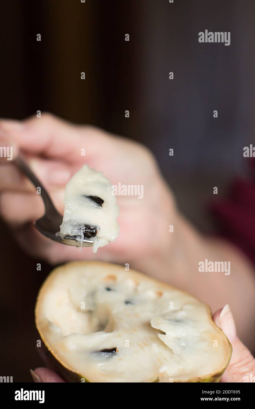 A woman picks a spoonful of tropical fruit pulp from a custard apple ...