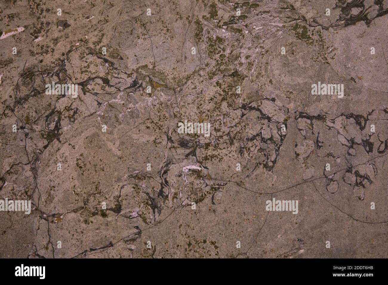 Beautiful ancient Greek and Rome marble texture background Stock Photo ...