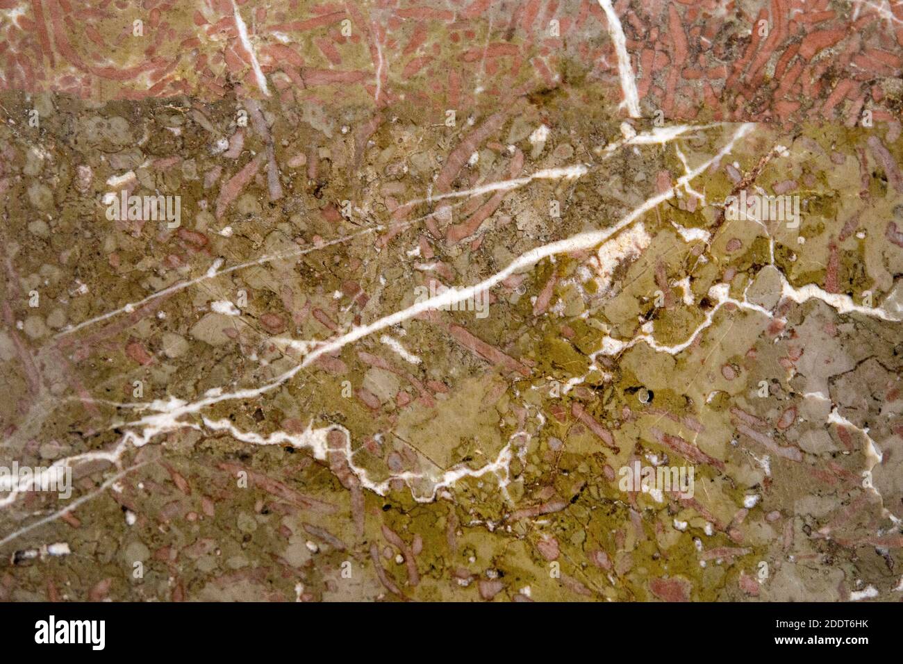 Beautiful ancient Greek and Rome marble texture background Stock Photo ...