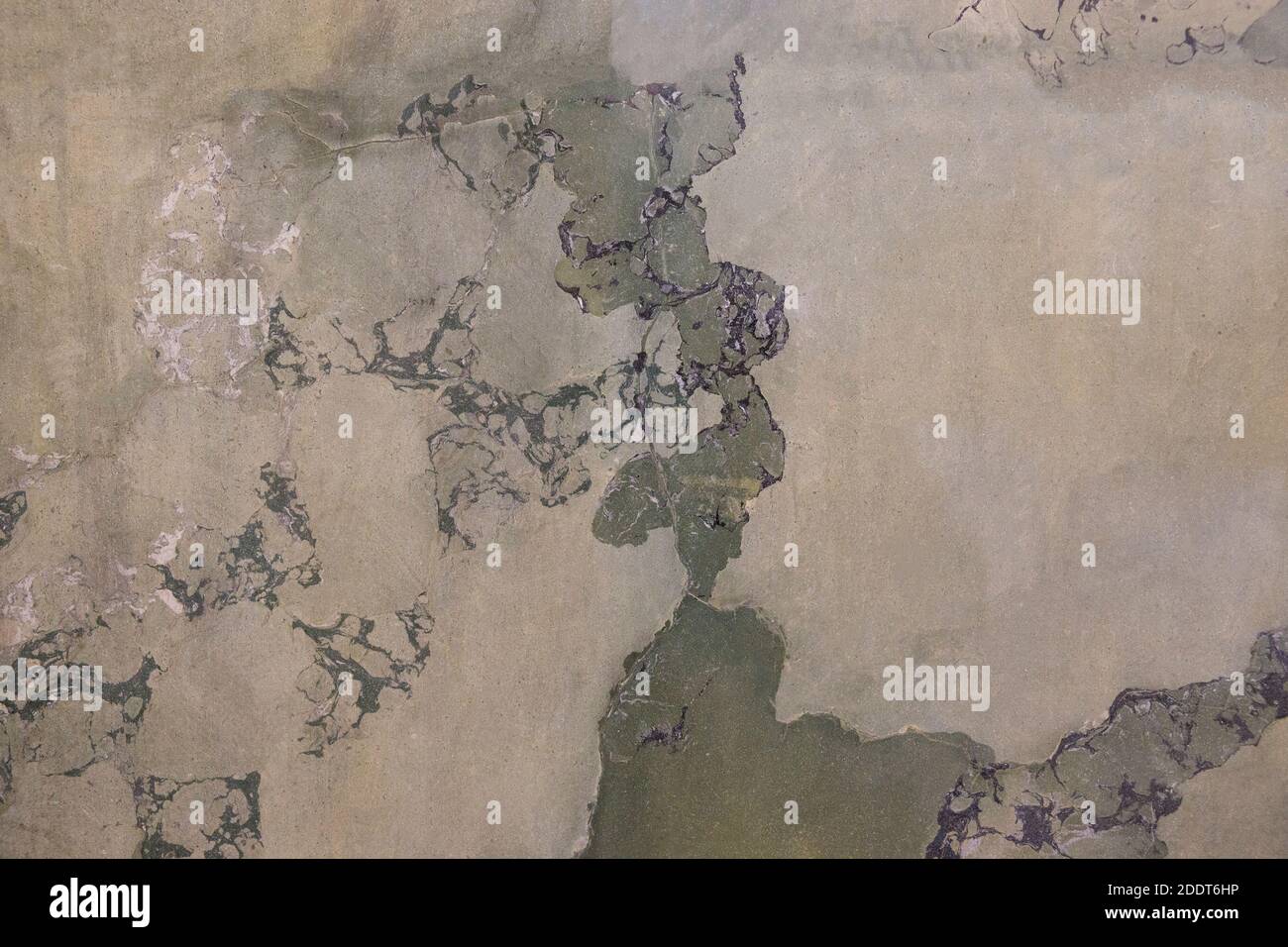 Beautiful ancient Greek and Rome marble texture background Stock Photo ...