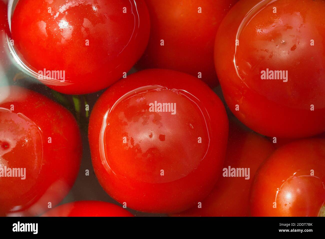 Overhead view of some tomatoes in the water. Organic food Stock Photo ...