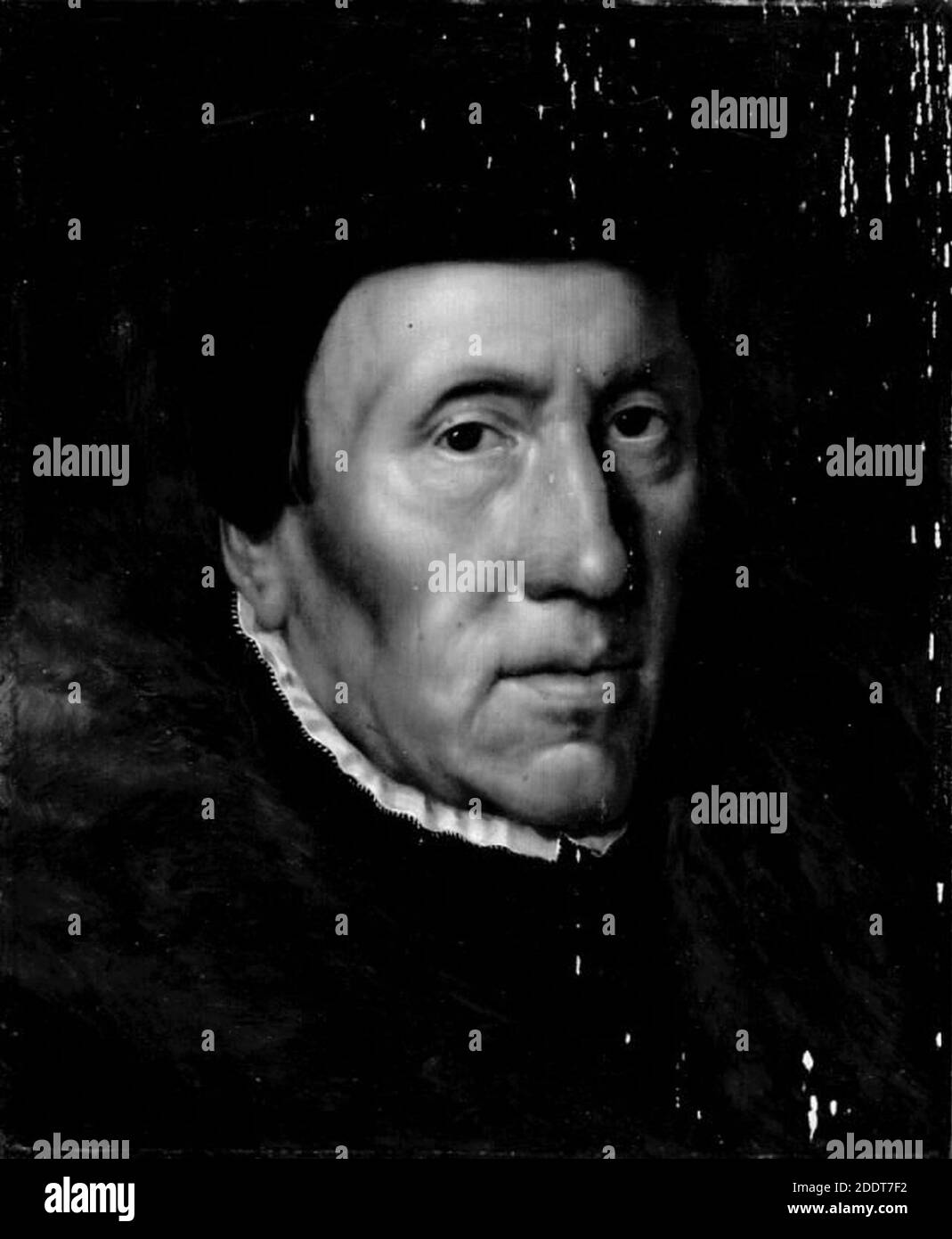 Rotterdamus hi-res stock photography and images - Alamy