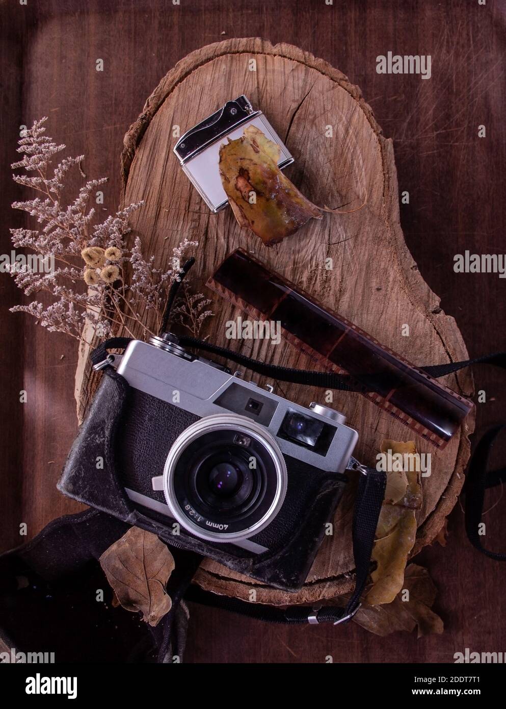 Vintage camera with old lighter negative on natural tree log wit Stock ...