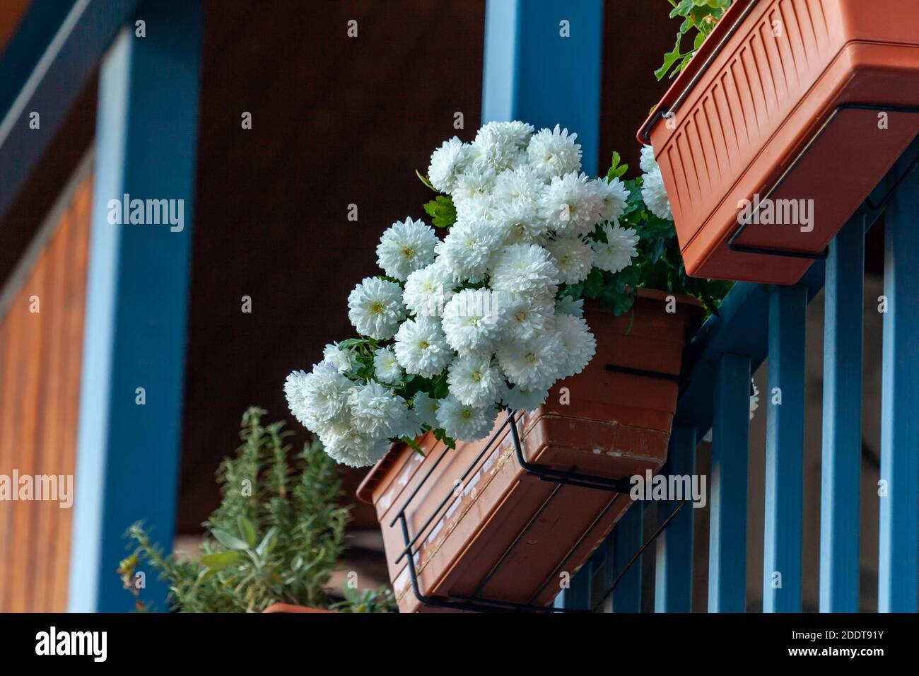 Tbilisi nature hi-res stock photography and images - Alamy