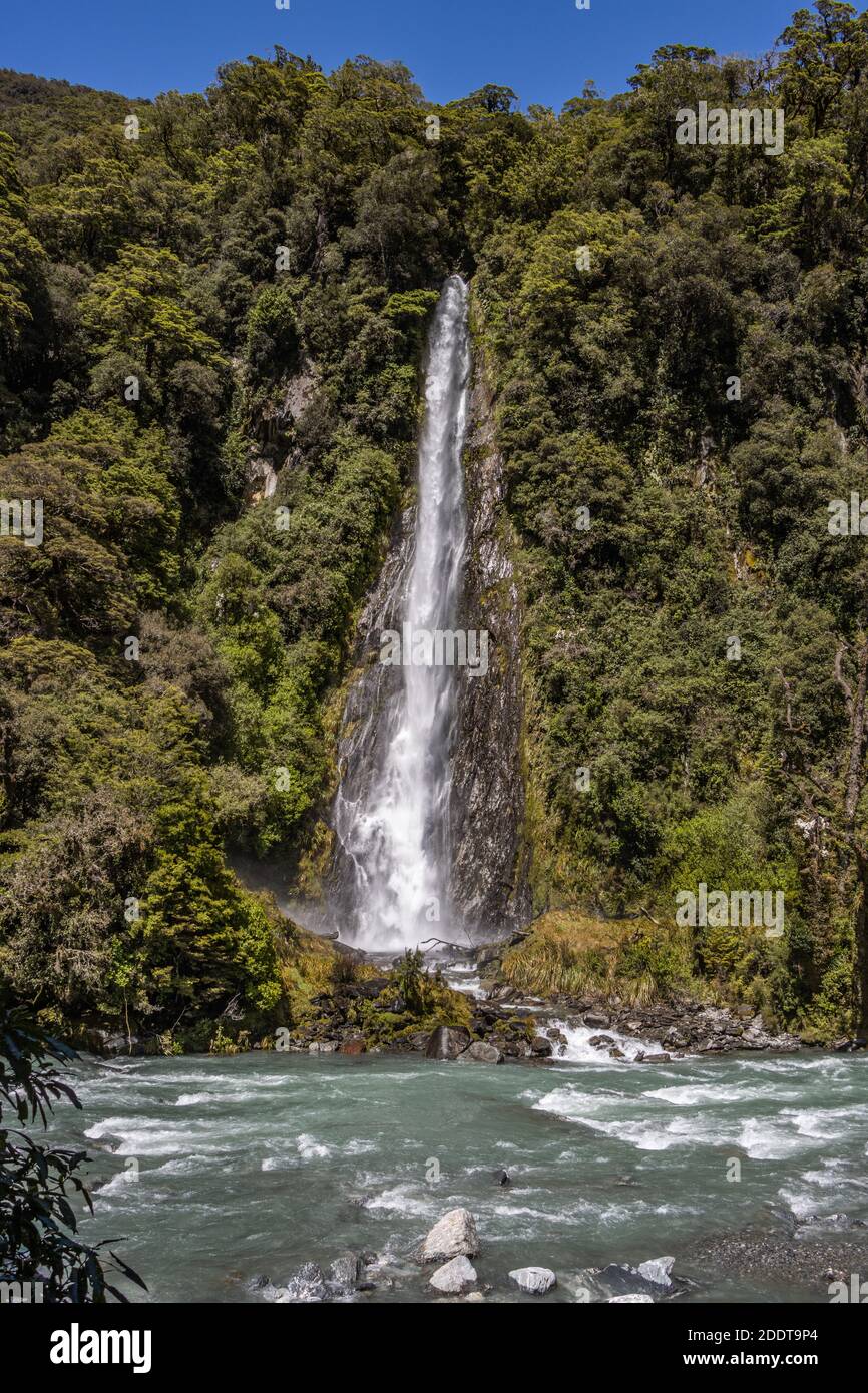 Thunder Creek Falls, Haast Pass, New Zealand Stock Photo - Alamy