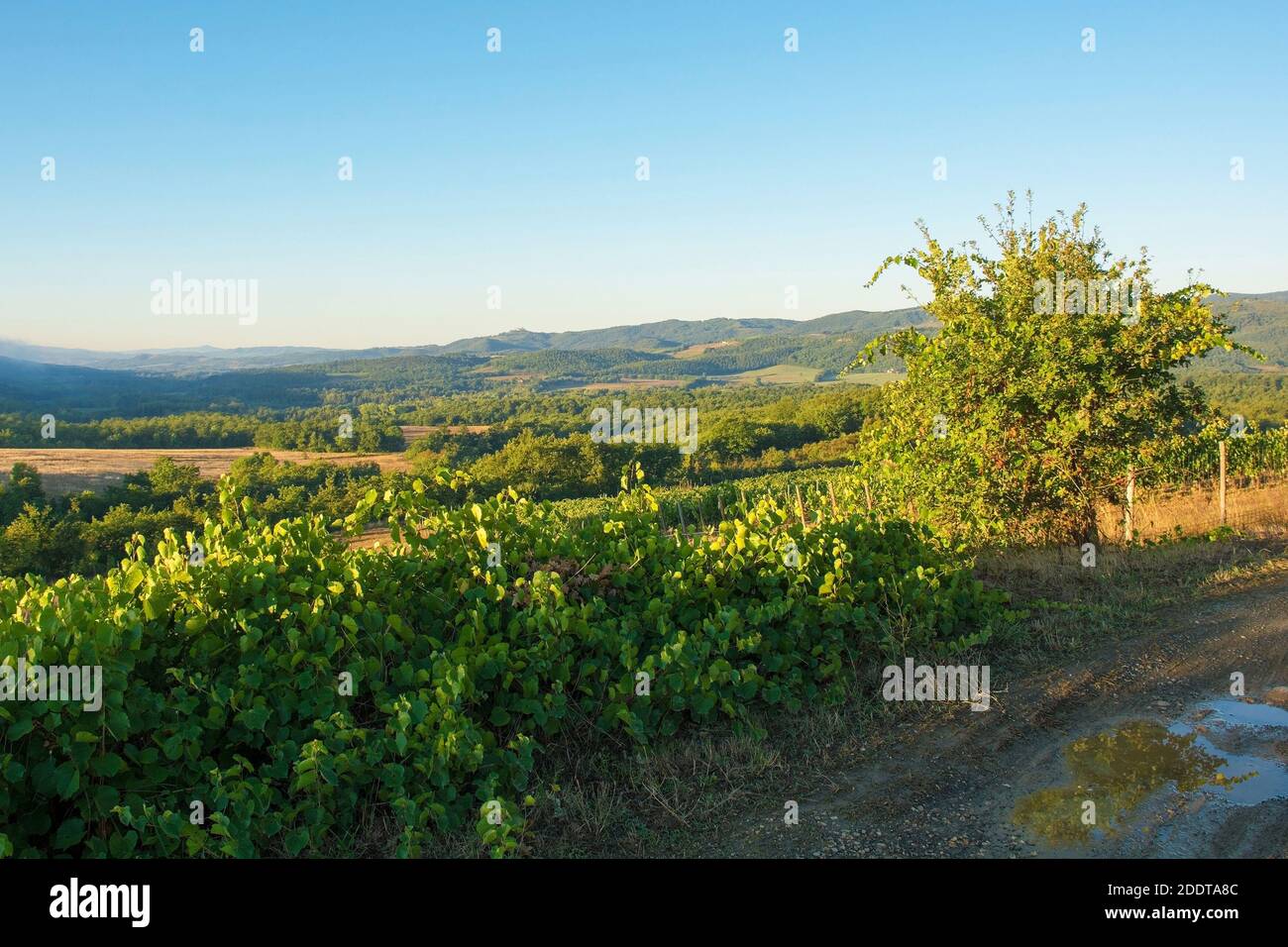 Italy tuscany early sunny morning hi-res stock photography and images ...