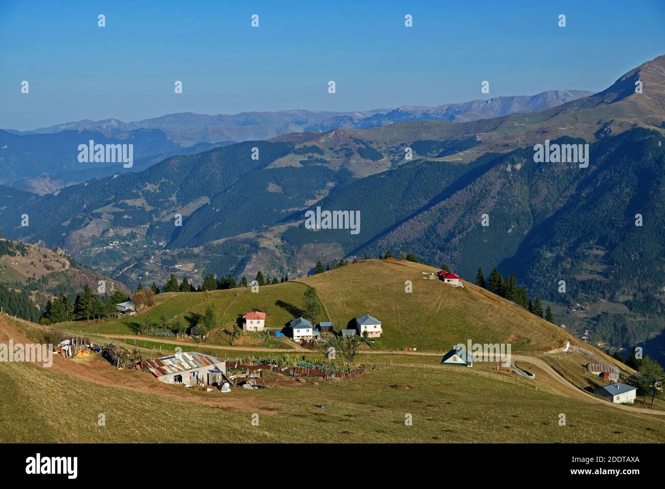 Autumn colors in the plateaus of Maçka district of trabzon province ...