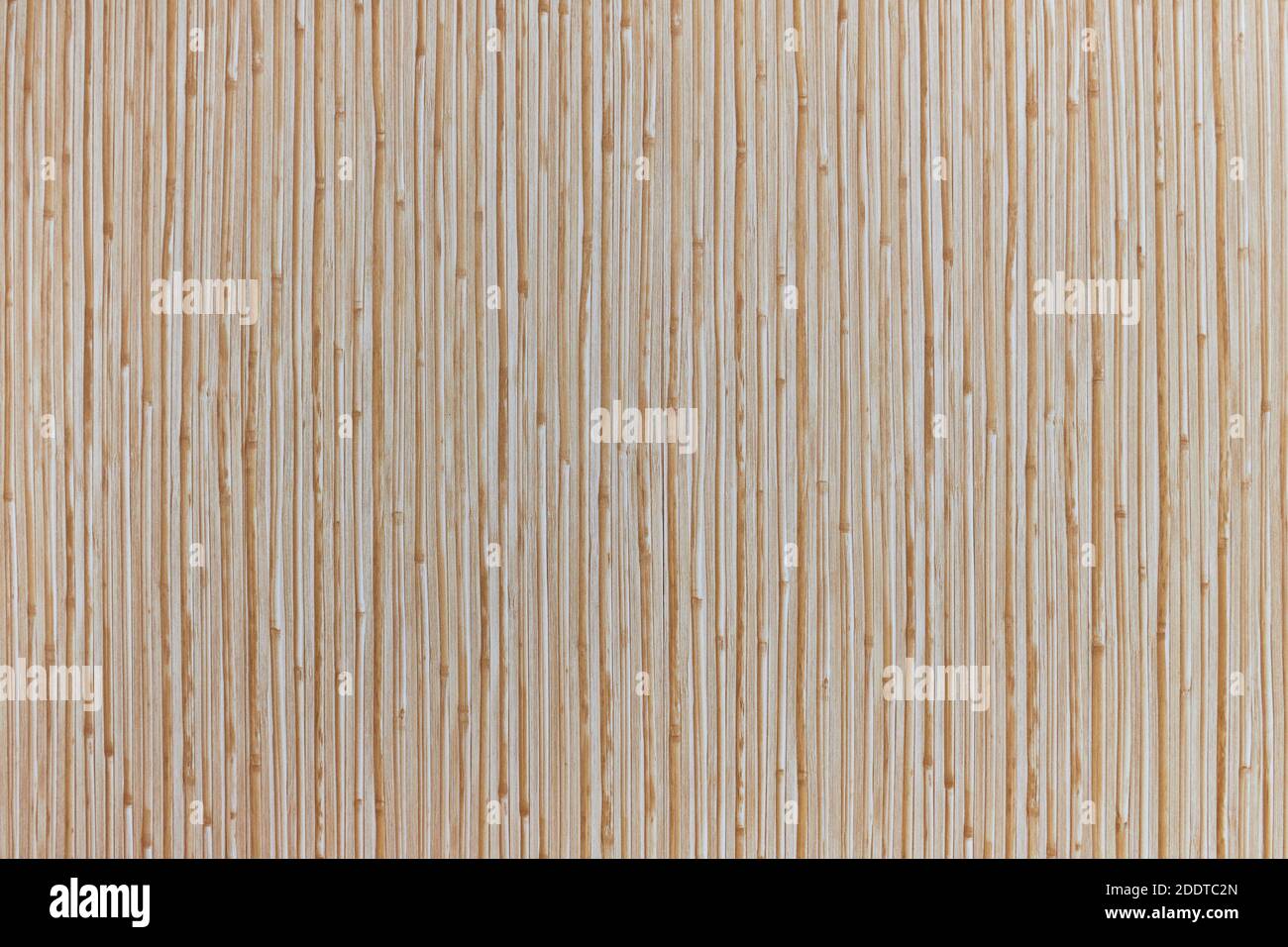 Plywood Edge Texture