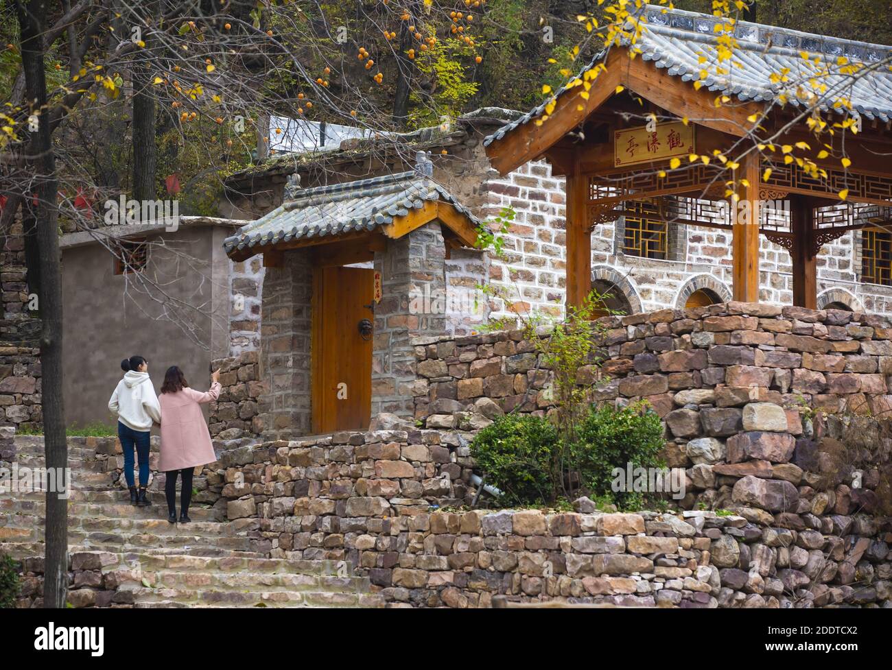 Handan, China's Hebei Province. 26th Nov, 2020. Visitors tour a ...