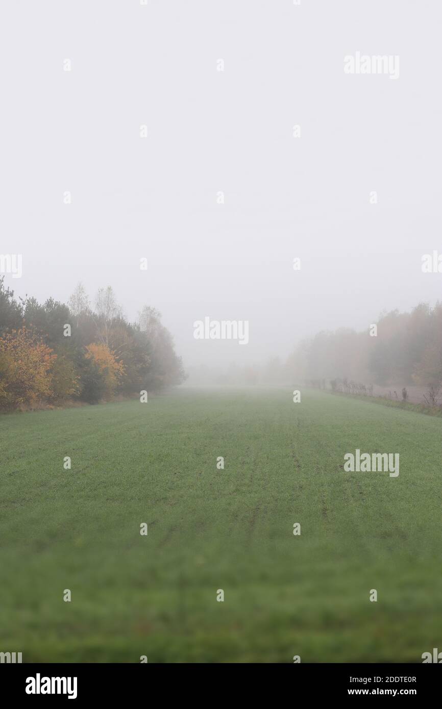 Ground fog in field hi-res stock photography and images - Alamy