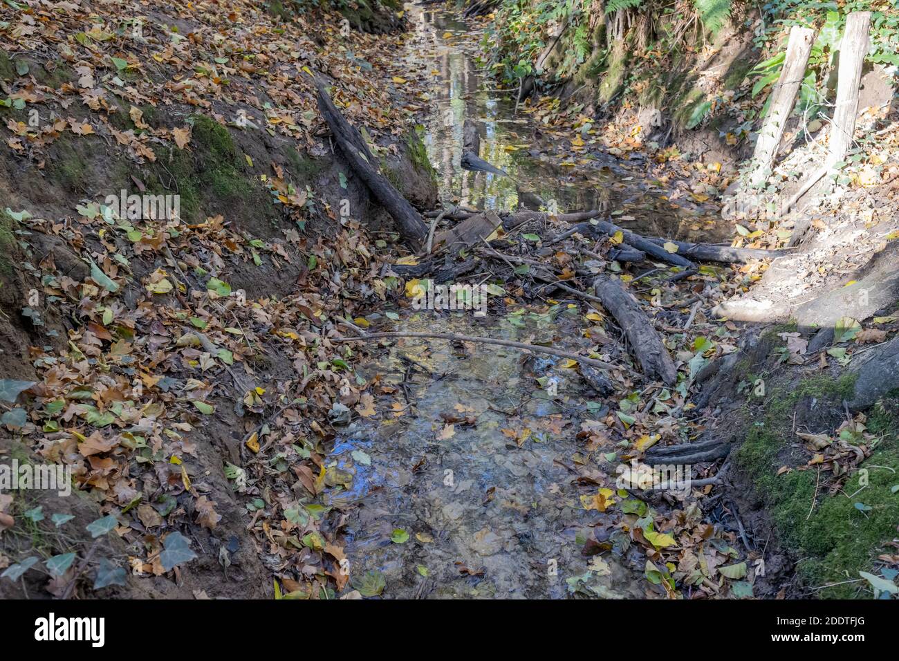 Interrupting water flow hi-res stock photography and images - Alamy