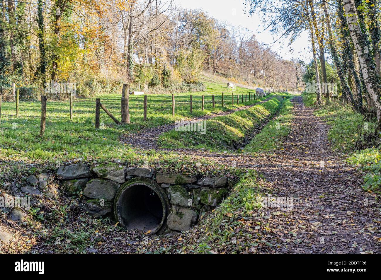 Agricultural drainage pipe hi-res stock photography and images - Alamy