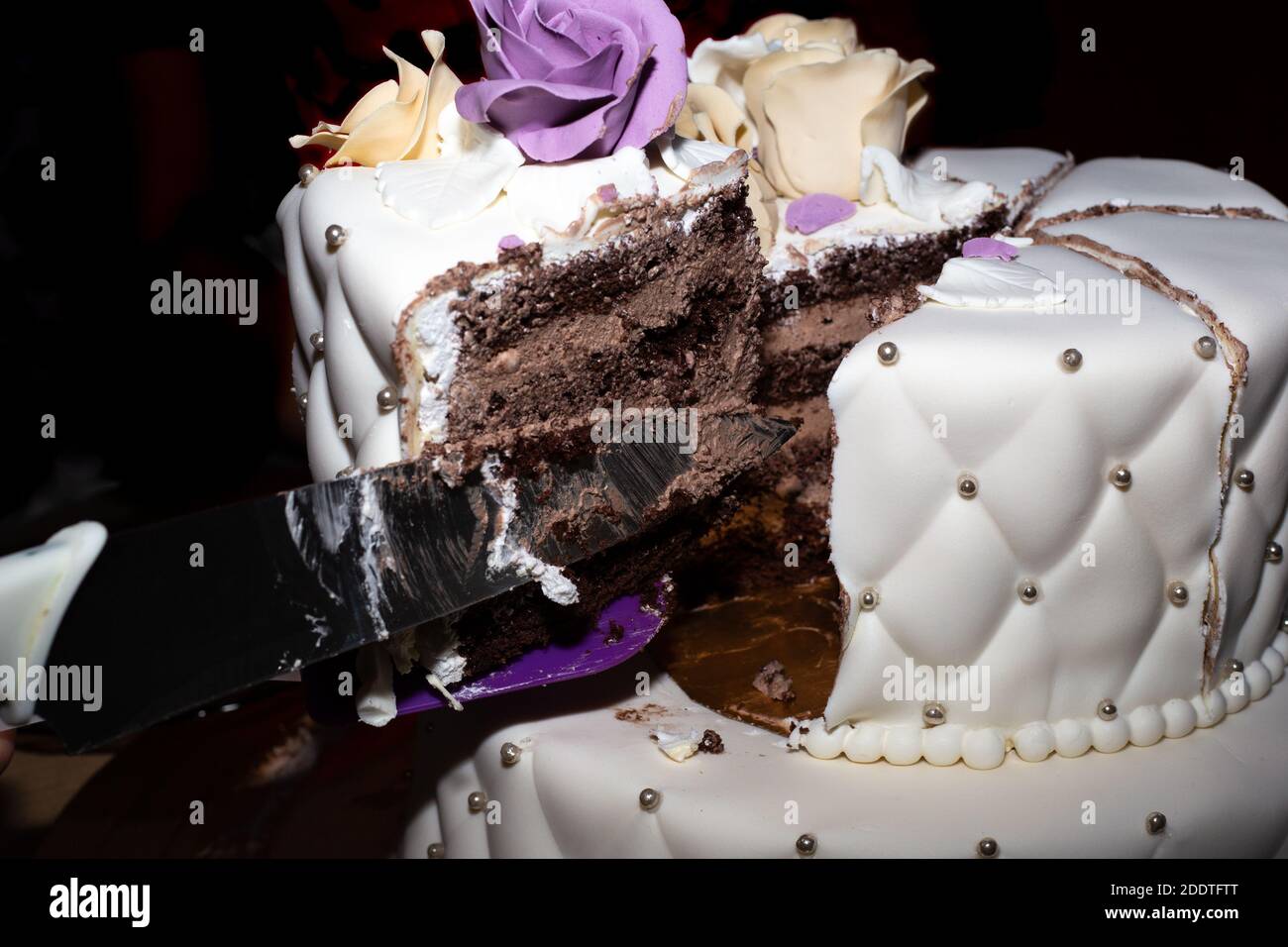 cutting a festive chocolate cake into pieces with a knife. Wedding ...