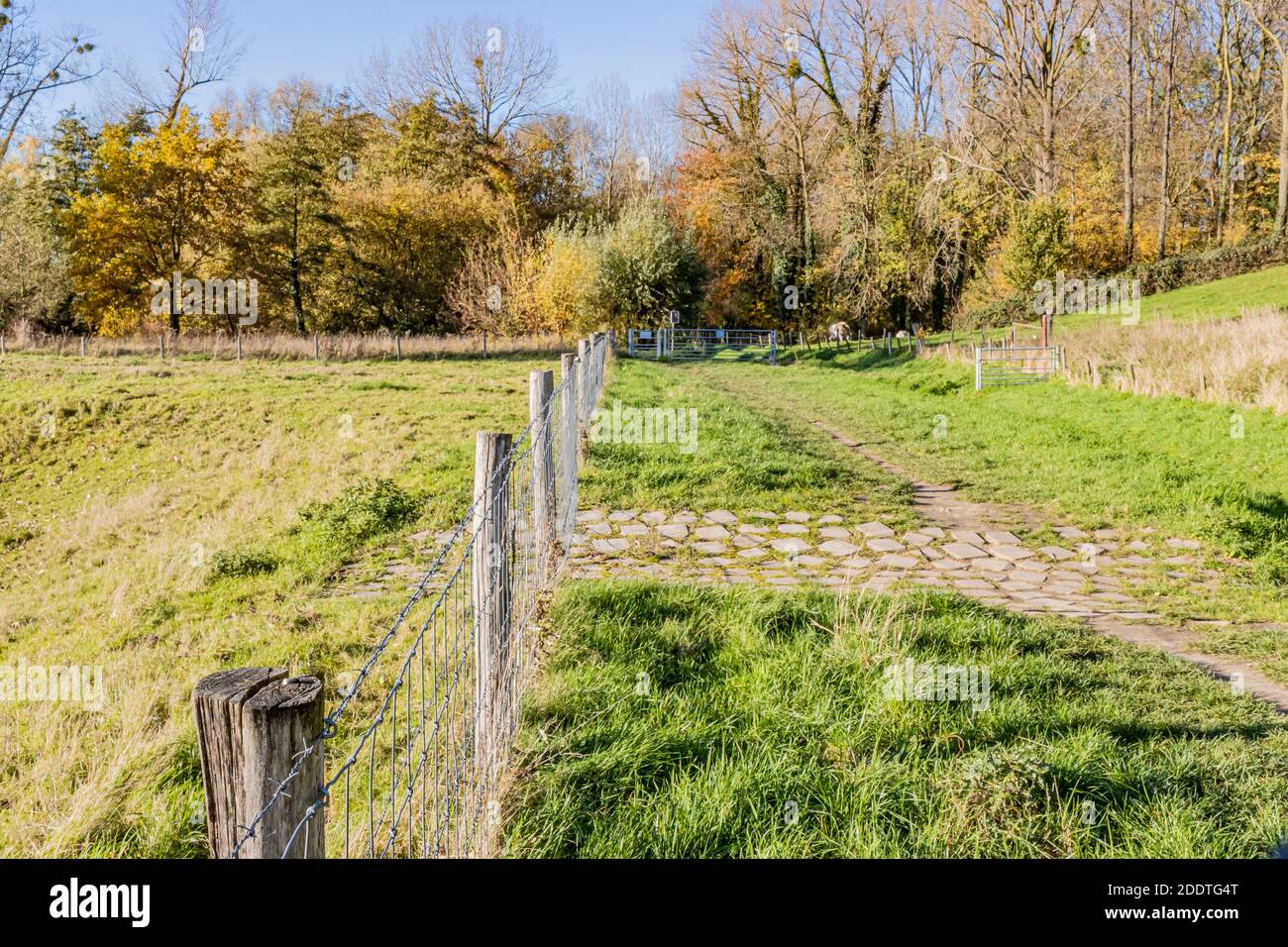 Agricultural farms, fences with wooden posts and wire, stone and dirt ...