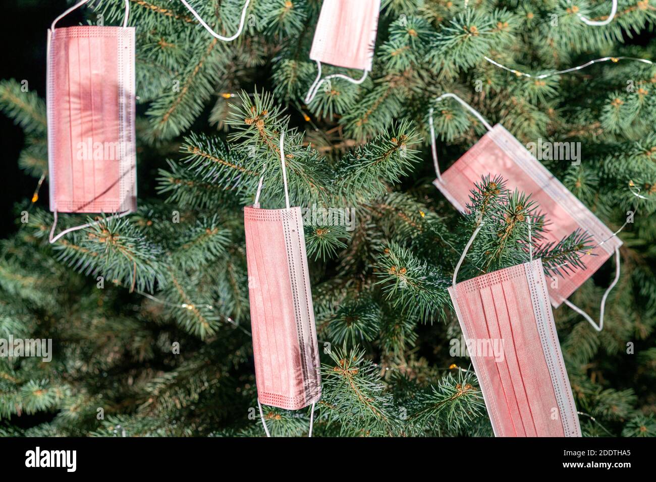 Horizontal color image with a front view of a Christmas tree decorated ...