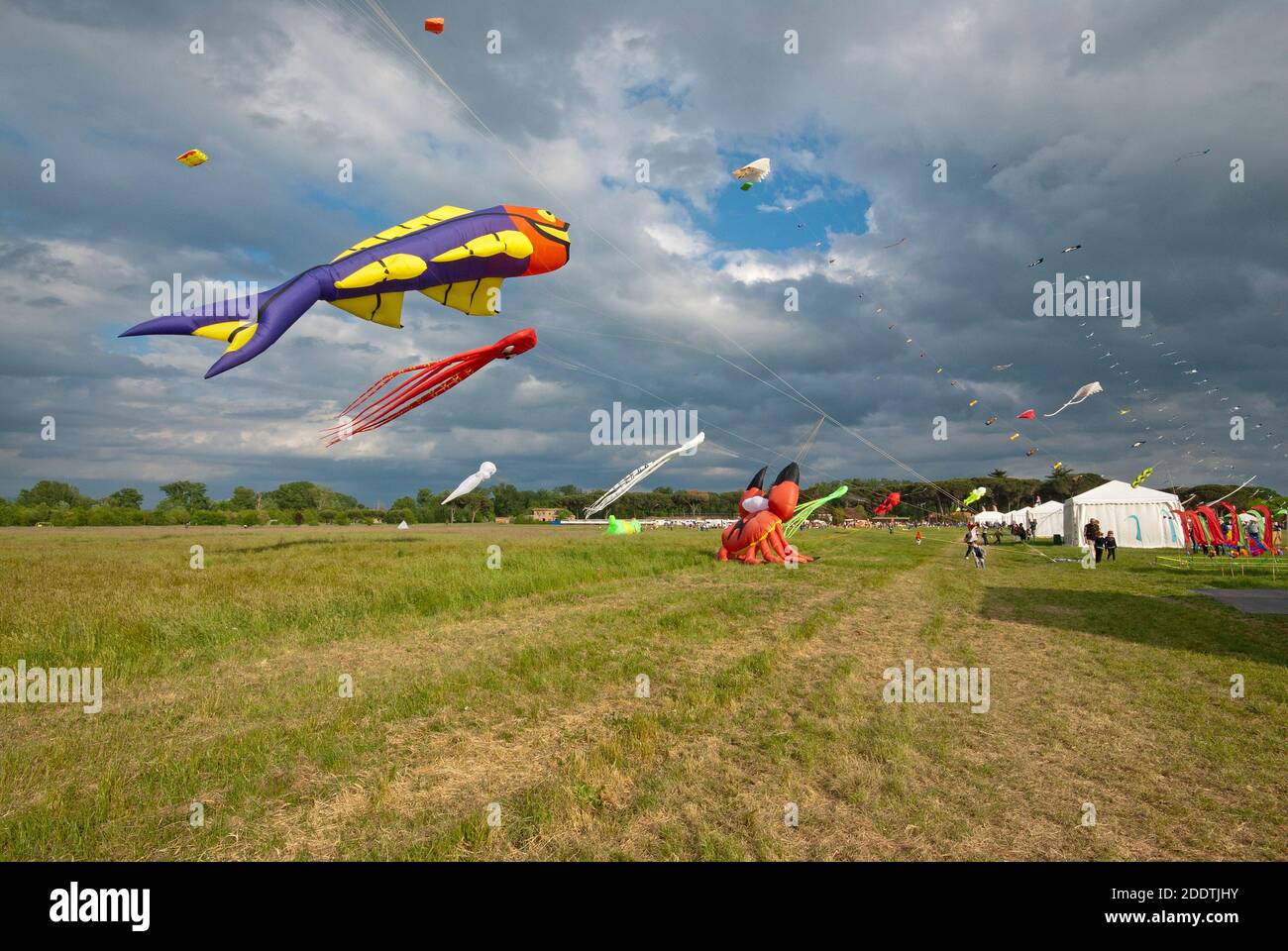 Huge kites flying at the international kites meeting "Coloriamo i Cieli ...