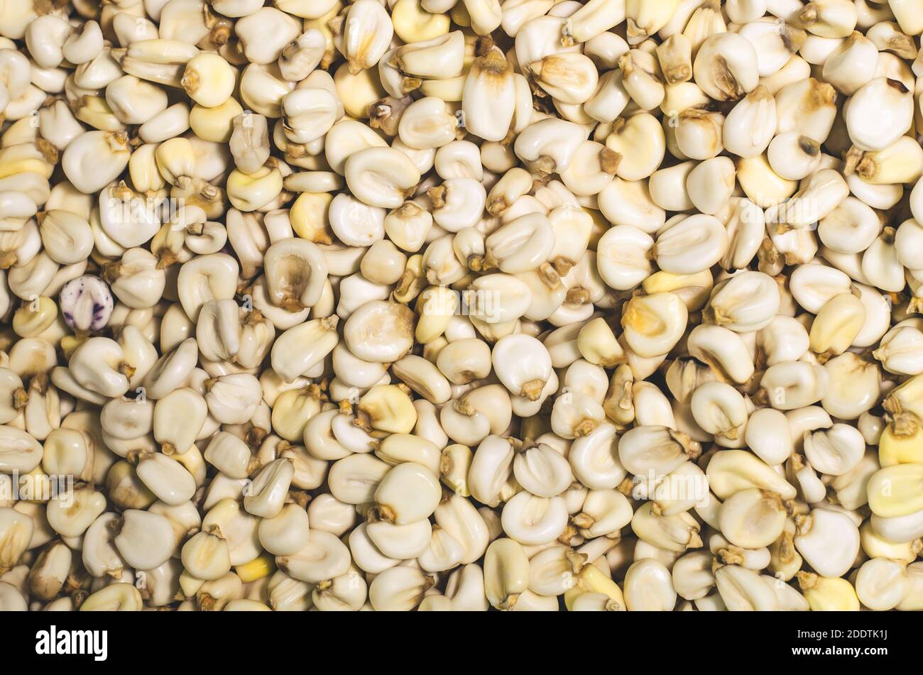 Peeled corn background, top view, close-up Stock Photo - Alamy