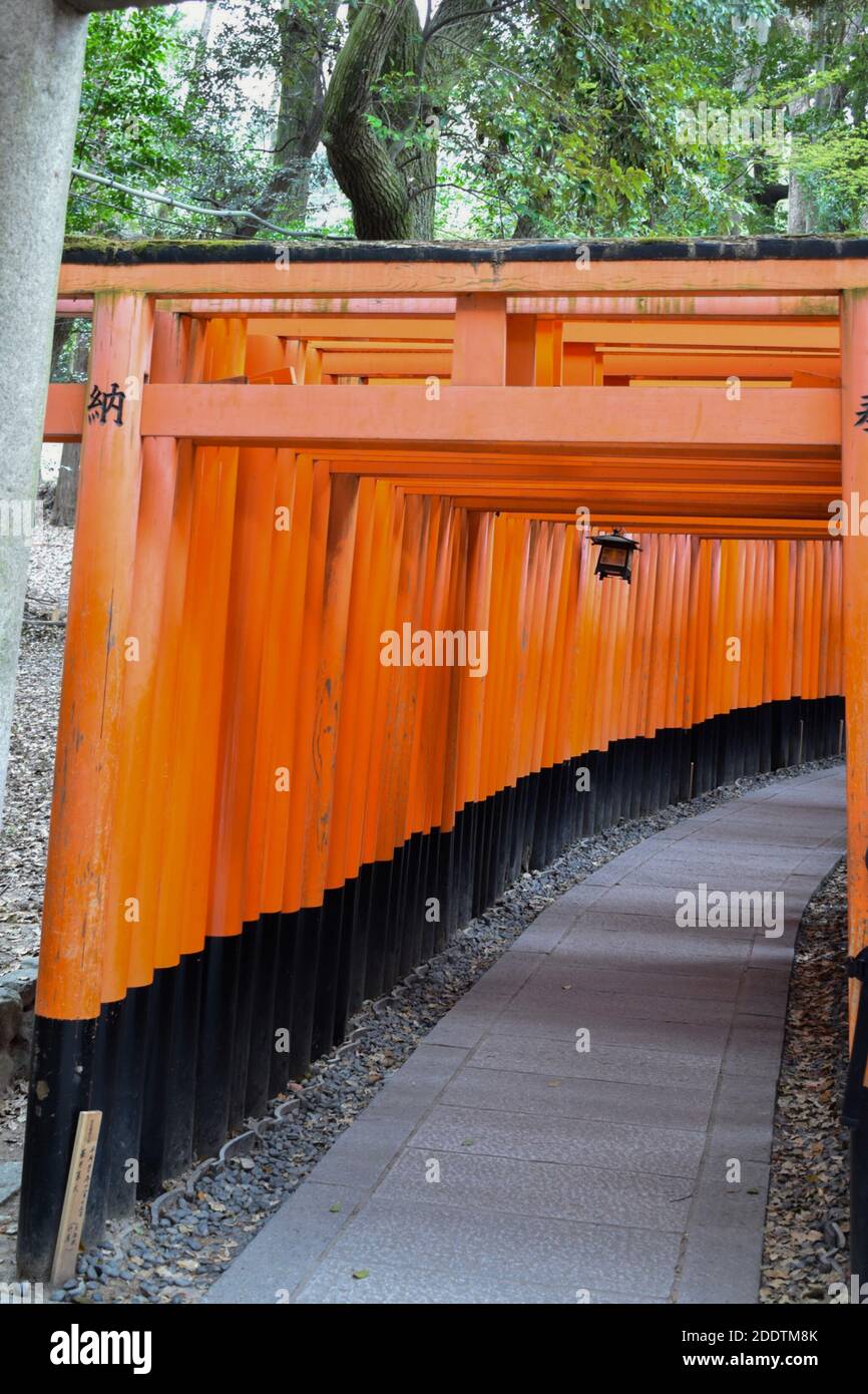 Kyoto, Japan - March 30th 2019; Fushimi Inari Taisha, Japanese gates ...