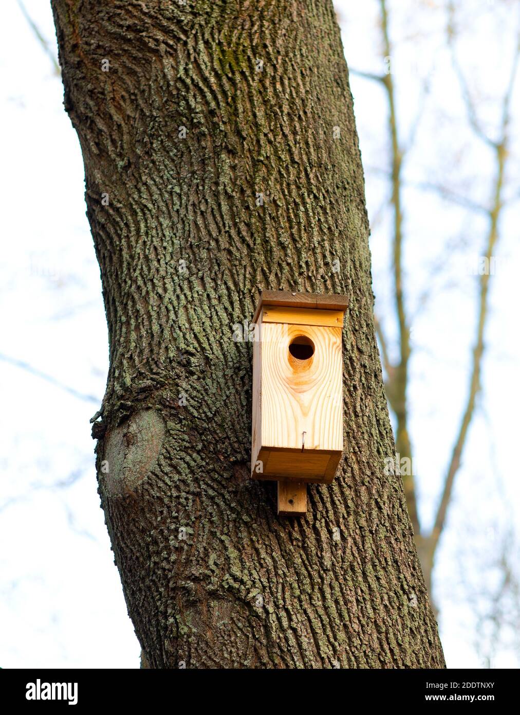 Wooden bird house on a tree Stock Photo - Alamy