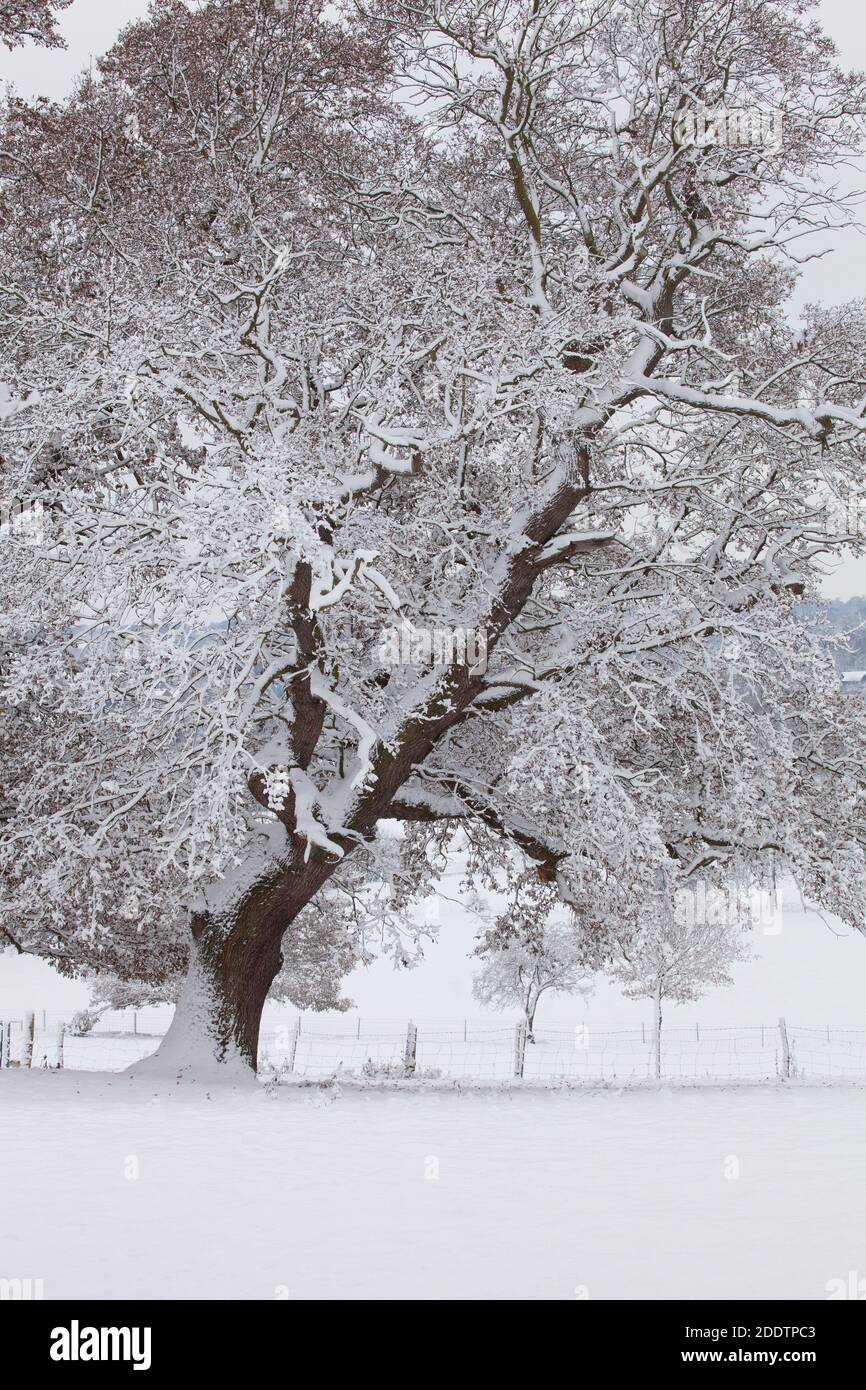 Constable dedham lock and mill hi-res stock photography and images - Alamy