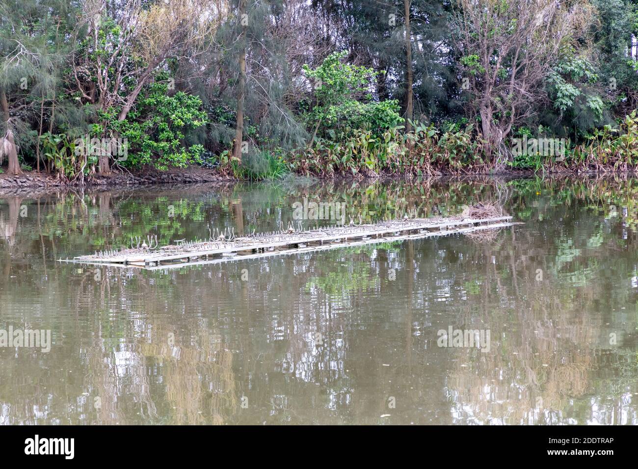 Large wooden pontoon hi-res stock photography and images - Alamy