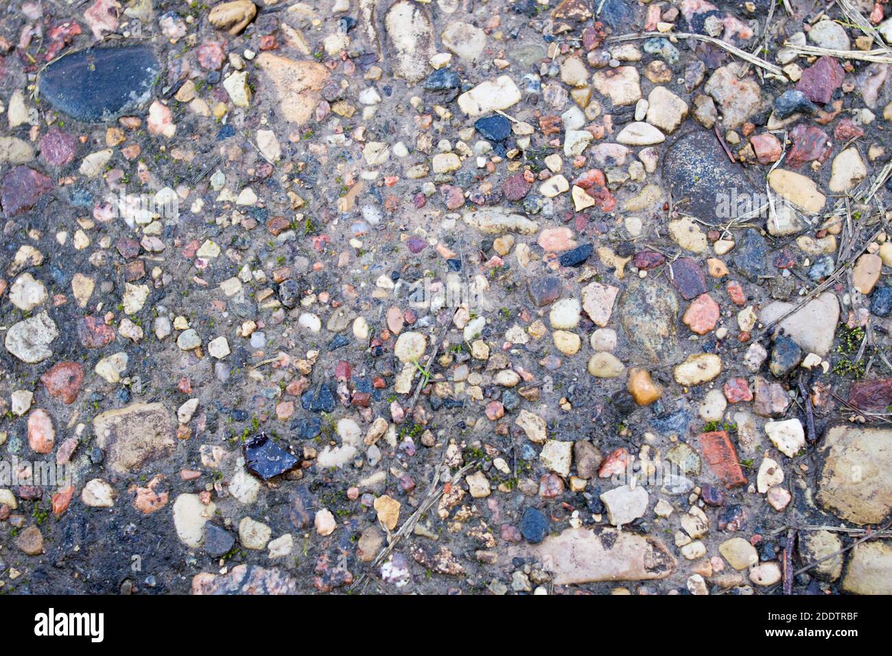 Background of small stones on the sand close up Stock Photo - Alamy