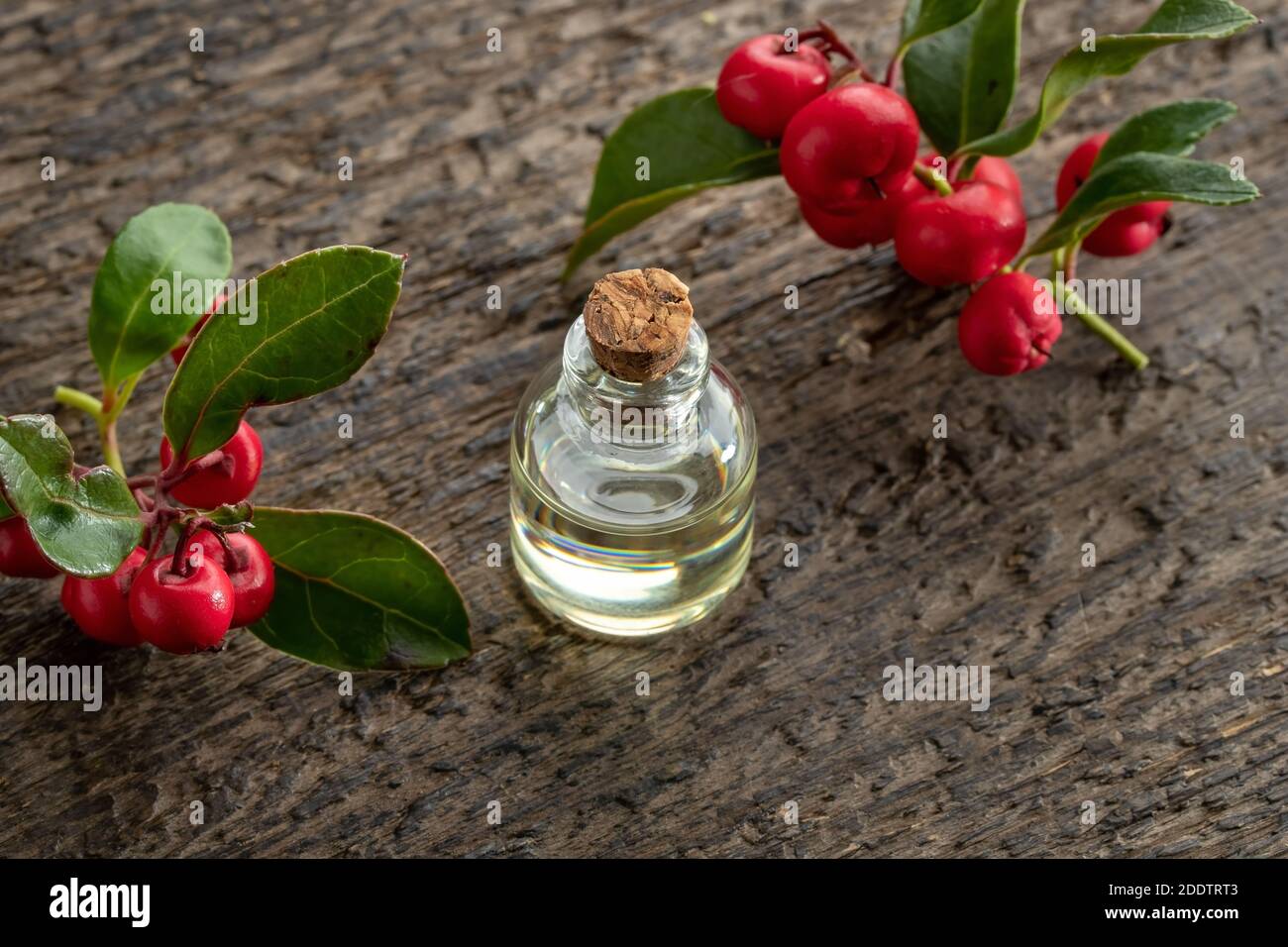 Wintergreen essential oil hi-res stock photography and images - Alamy