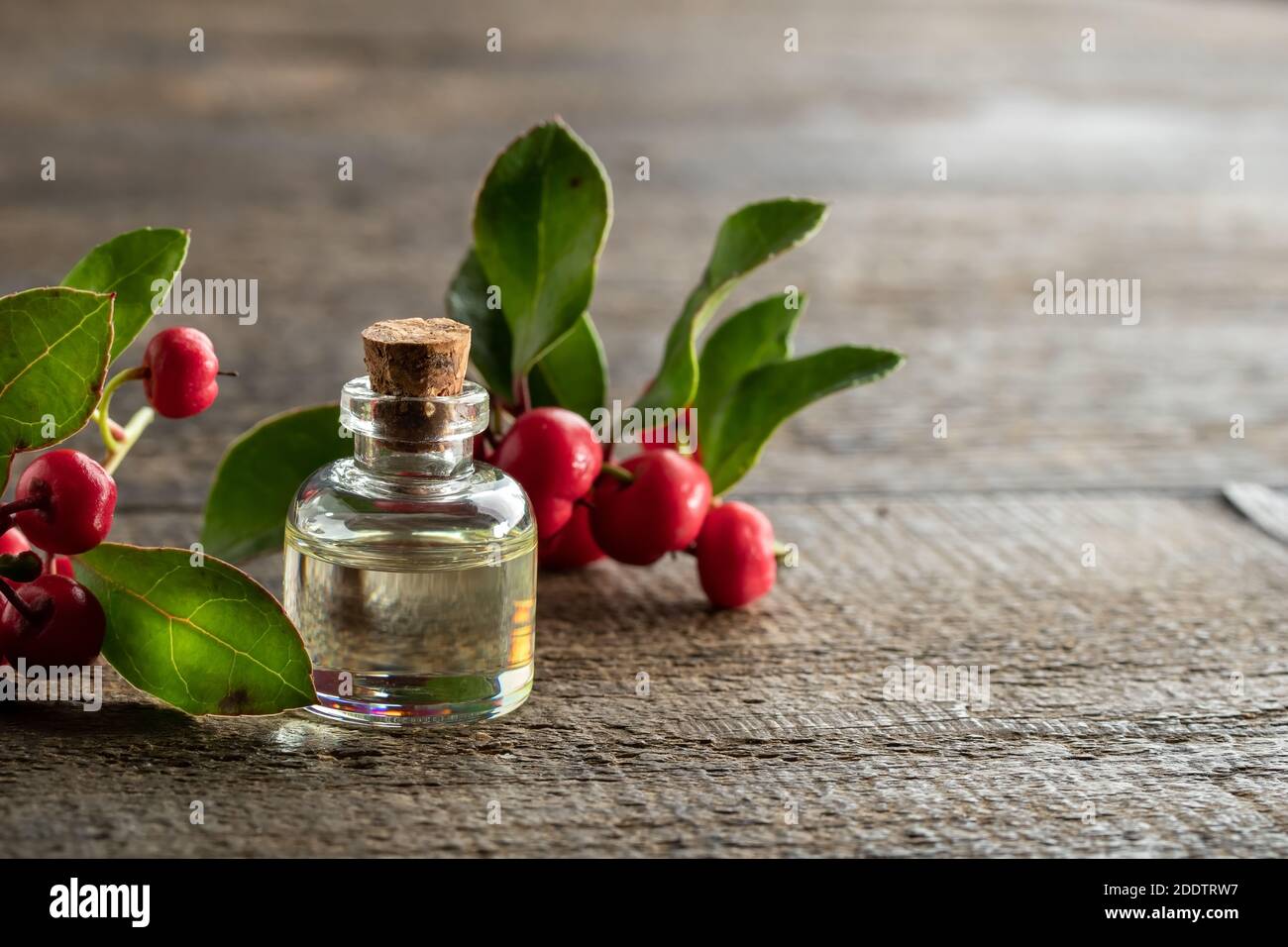Wintergreen essential oil hi-res stock photography and images - Alamy