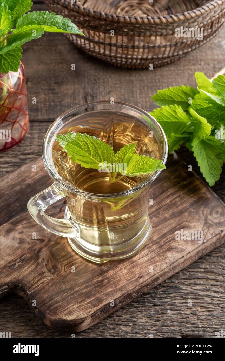 A cup of melissa tea with fresh plant Stock Photo - Alamy